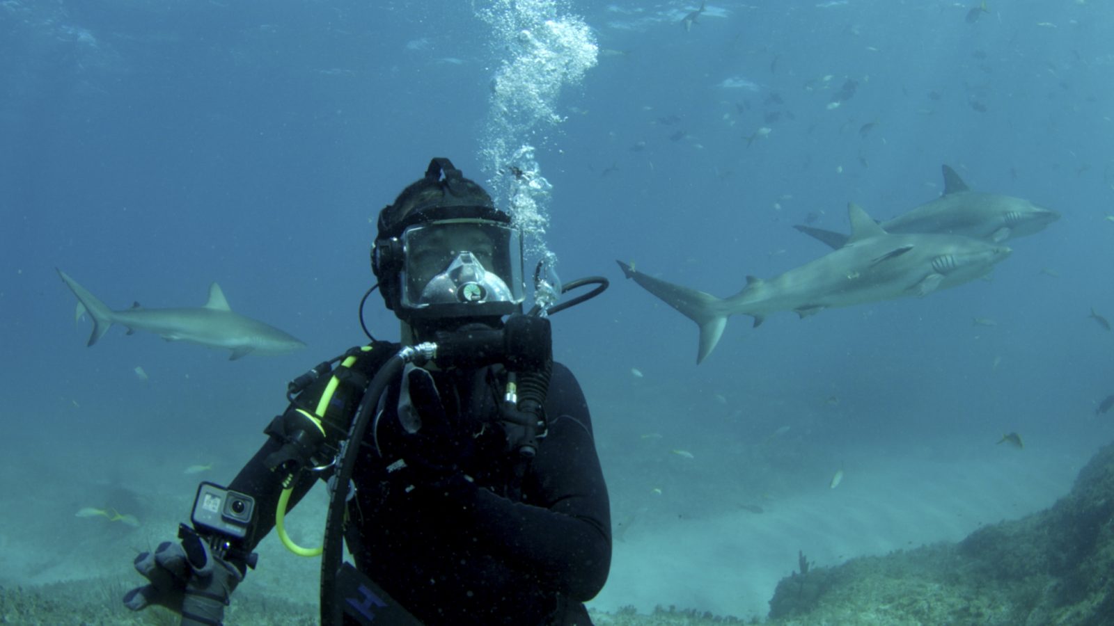 Shaquille O´neal, Bear Grylls y Lindsay Vonn se sumergen en Discovery ...