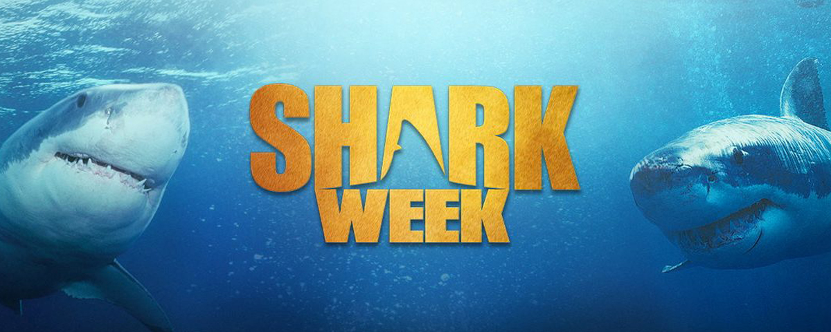 Shaquille O´neal, Bear Grylls y Lindsay Vonn se sumergen en Discovery ...