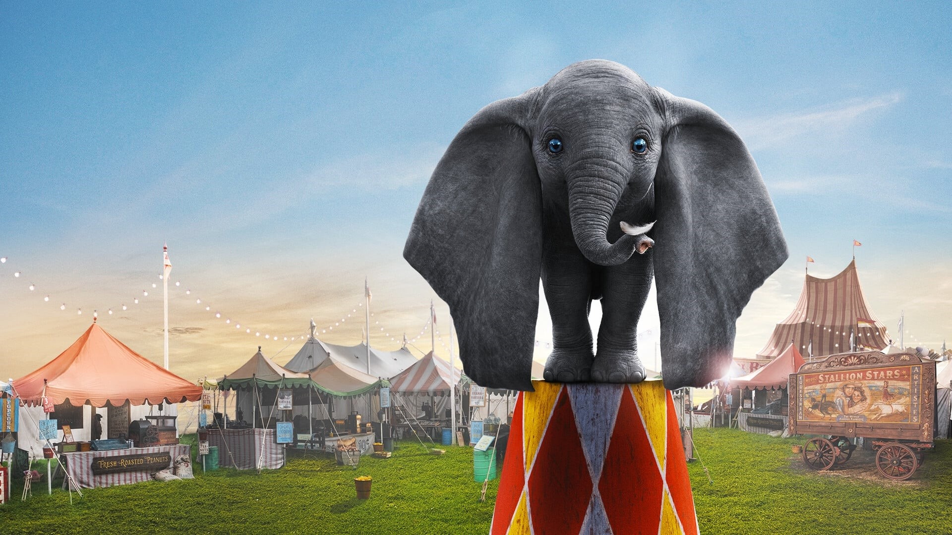 ¿Qué es el Live Action? El nuevo formato que triunfa en el cine