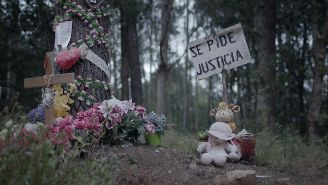 True Crime: ‘El caso Asunta’ y otras series de asesinatos famosos